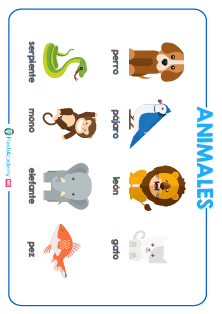 Spanish: Animal Poster - FlashAcademy