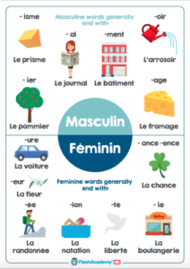 French: Feminine vs. Masculine - FlashAcademy®